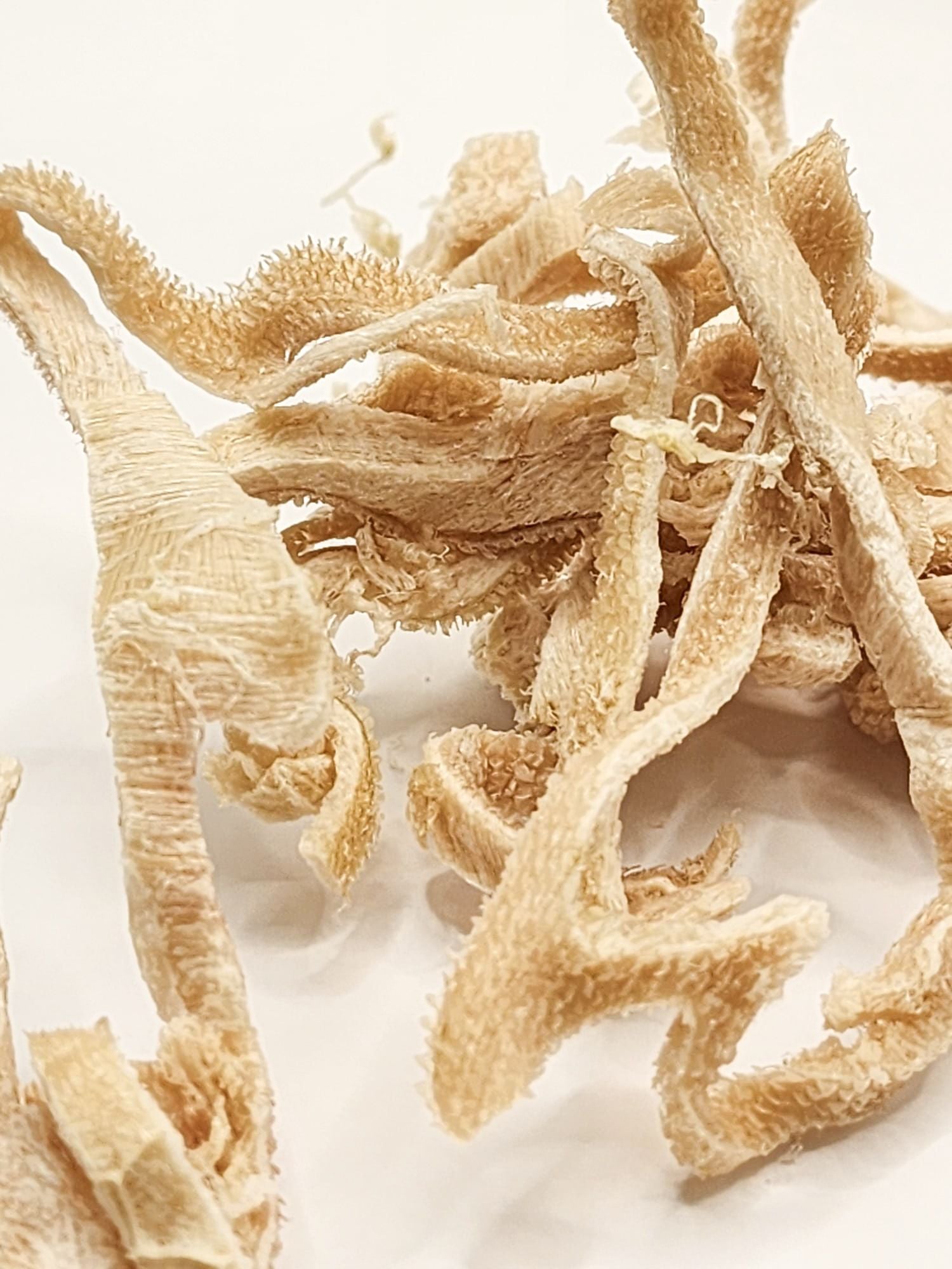 Freeze Dried Lamb Tripe – ohmydognesstreats