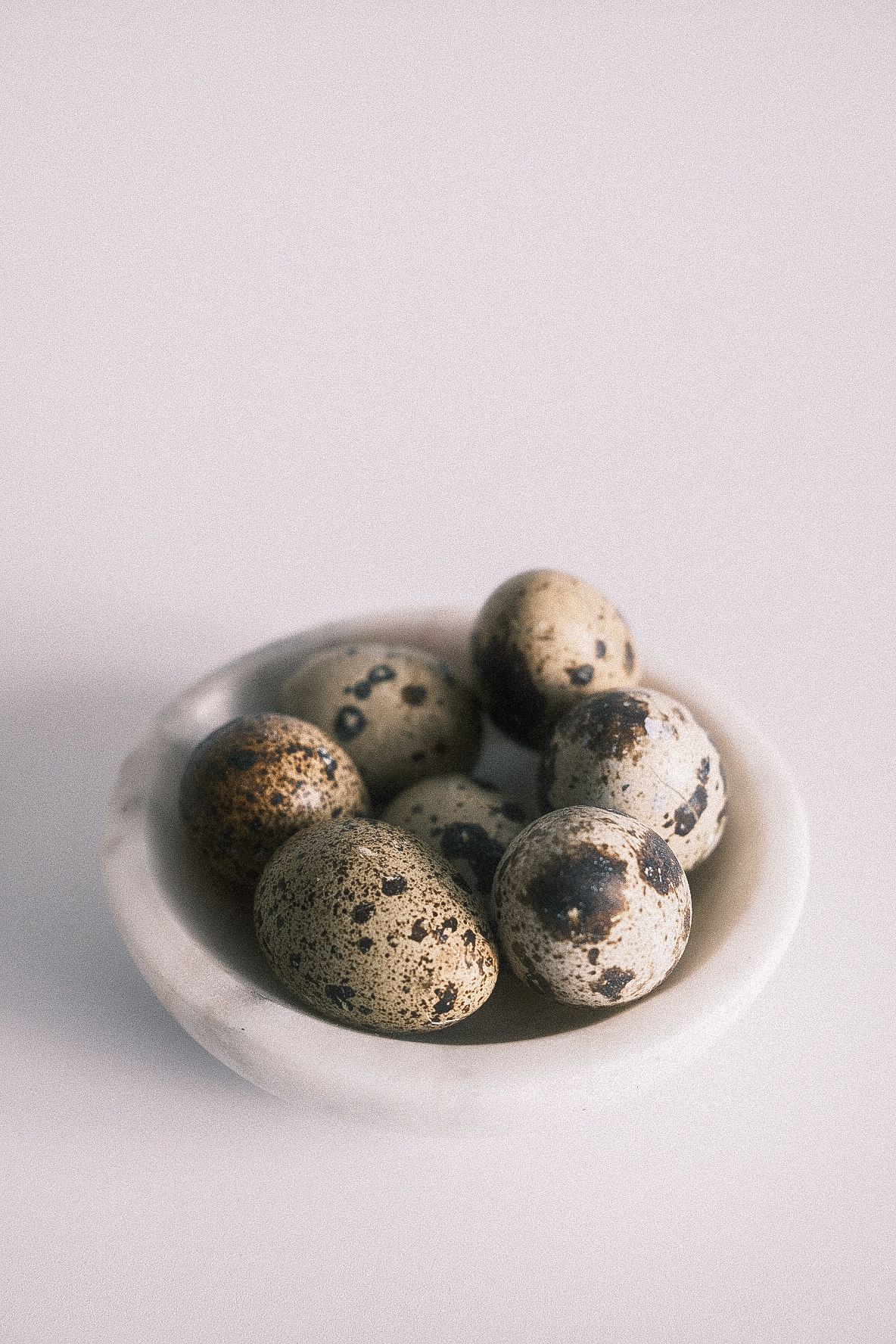 Freeze Dried Whole Quail Egg (with shell) – ohmydognesstreats