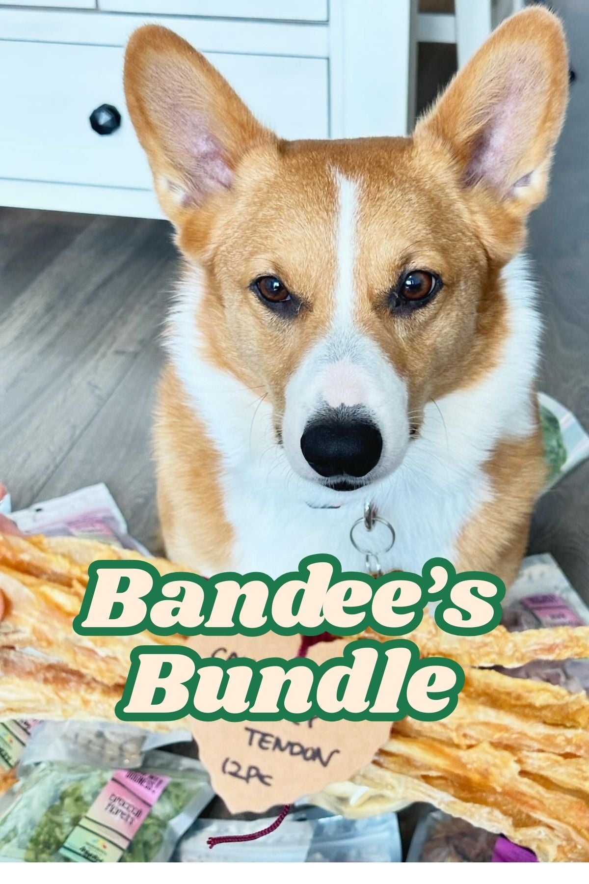 BANDEE'S BUNDLE – ohmydognesstreats