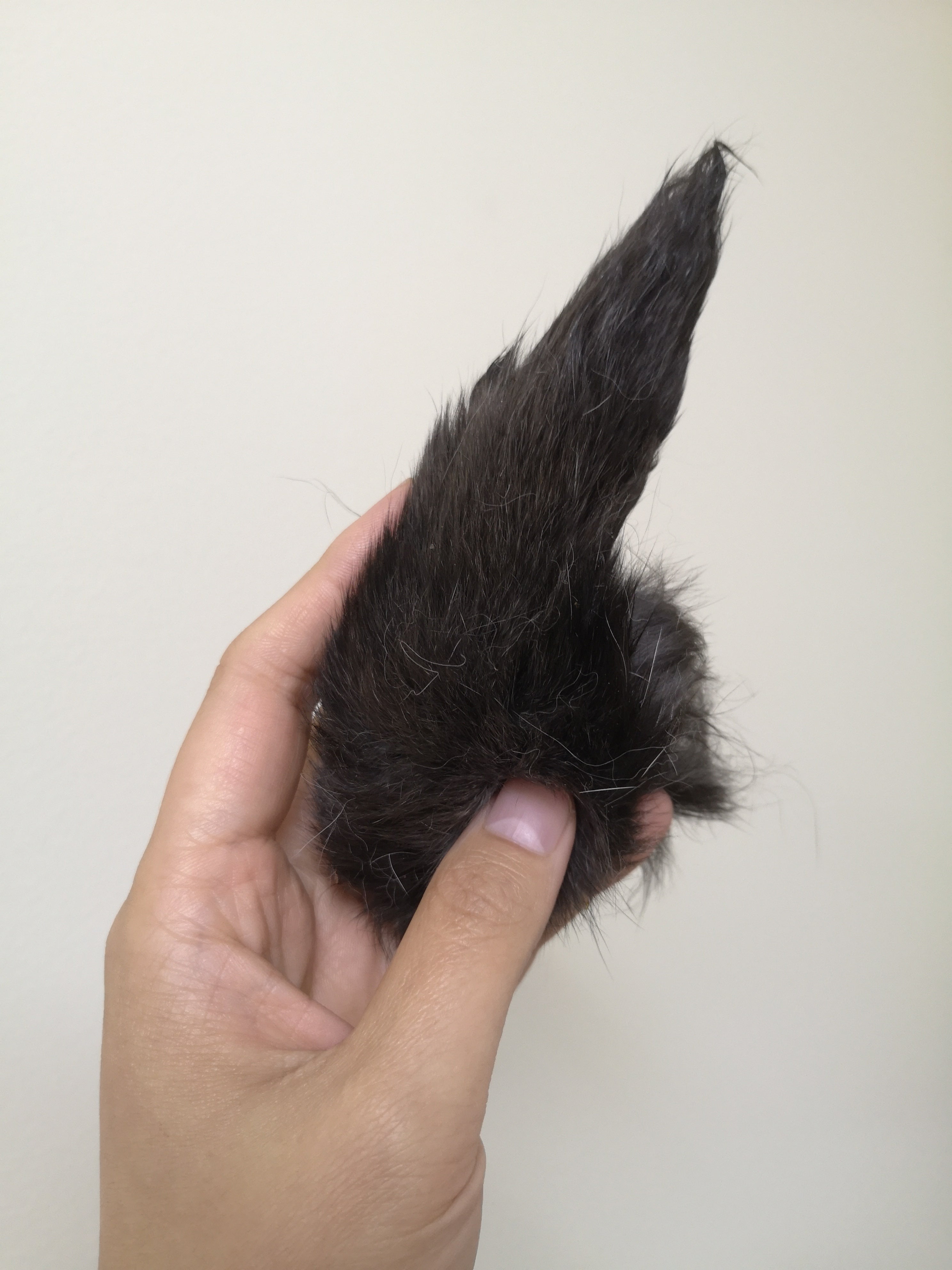 Rabbit Tails – ohmydognesstreats