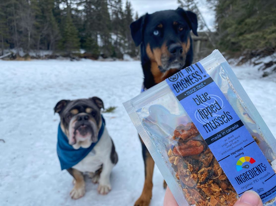 Blue Lipped Mussels – ohmydognesstreats